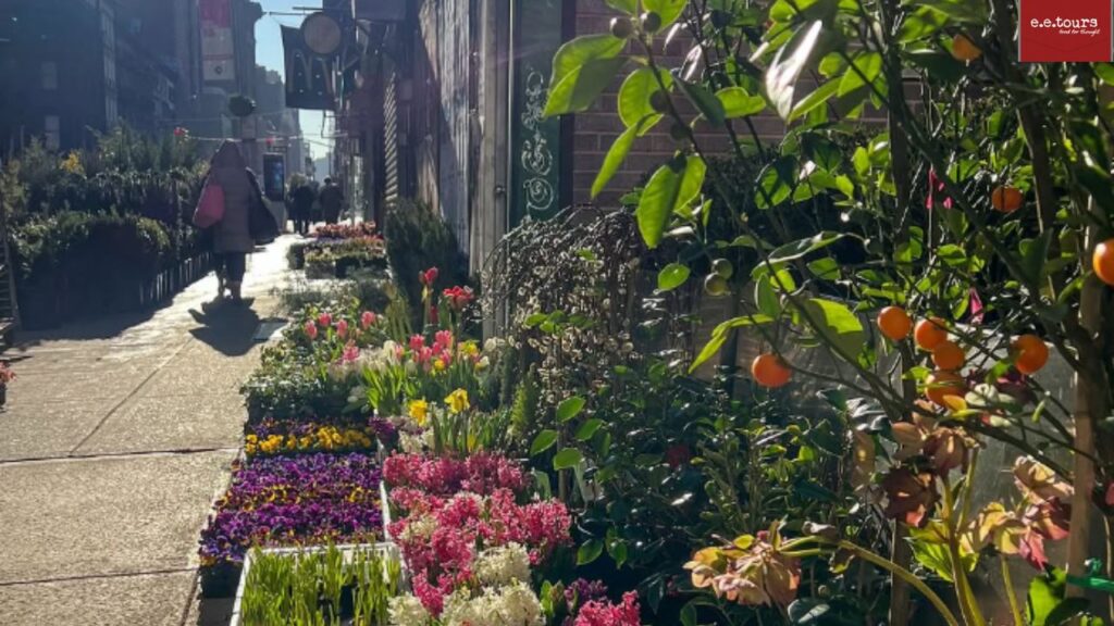 The New York Flower Market: A Hidden Gem in the Heart of Manhattan - e ...